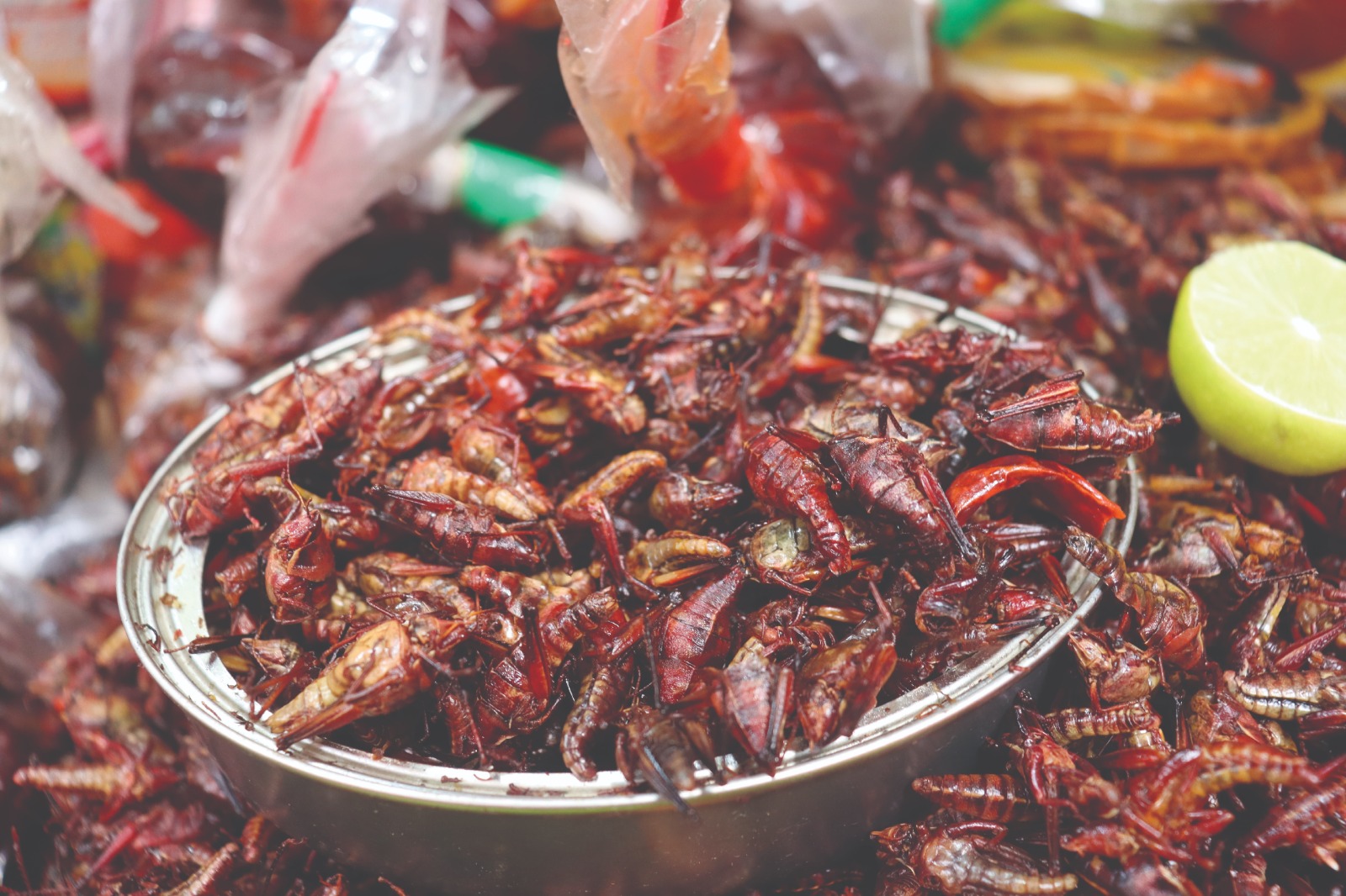 ACTOPAN ES TRADICIÓN, CULTURA Y GASTRONOMÍA - Gobierno de Actopan, Hidalgo